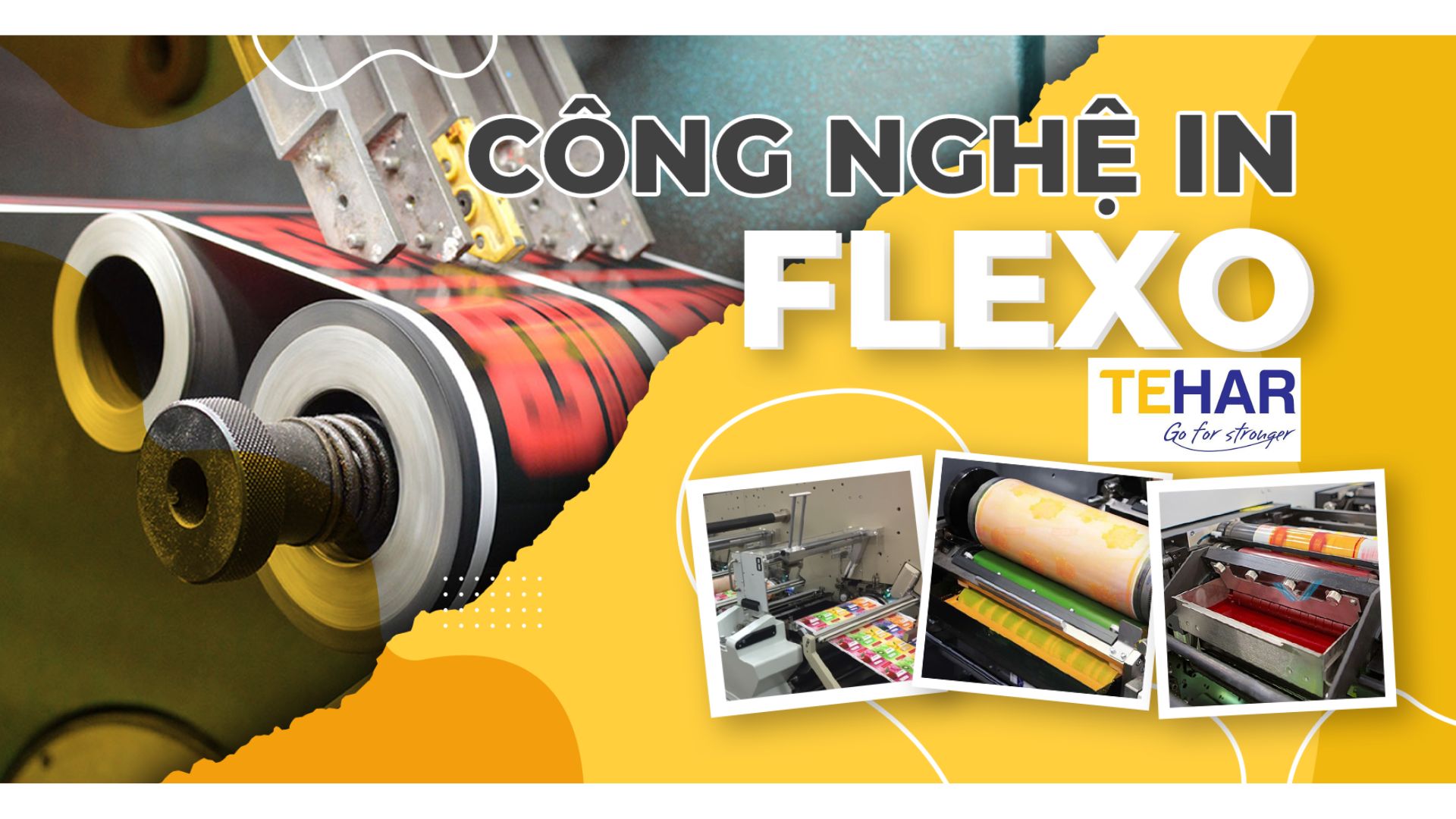 Công nghệ in Flexo và ứng dụng kỹ thuật